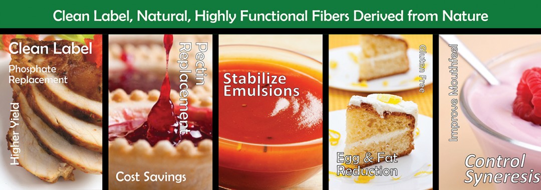 FIBERSTAR,Highly Functional Fibers | Diorchem